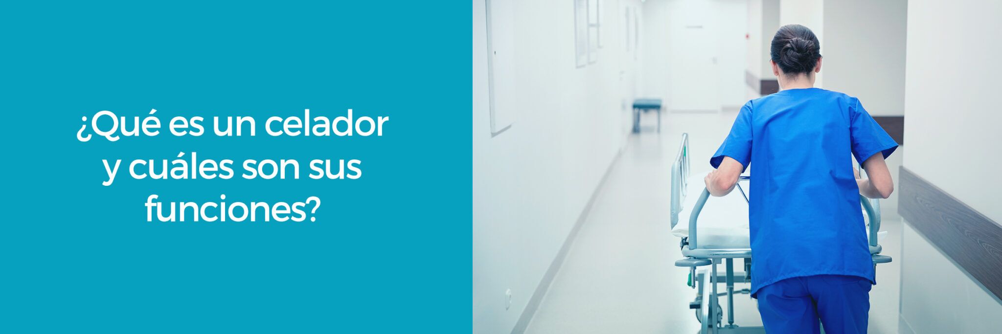 ¿Qué es un celador y cuáles son sus funciones? - AulaPlus